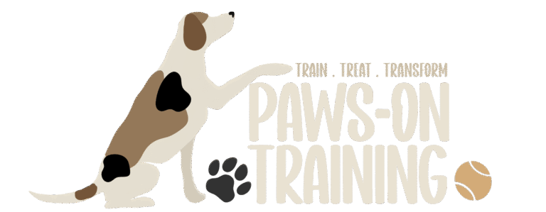 Dog Training Rossendale | | Group classes | 121 Sessions